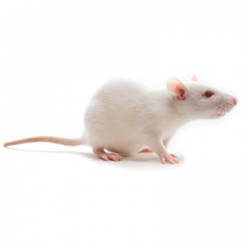 Charles Lab – BIORIVER